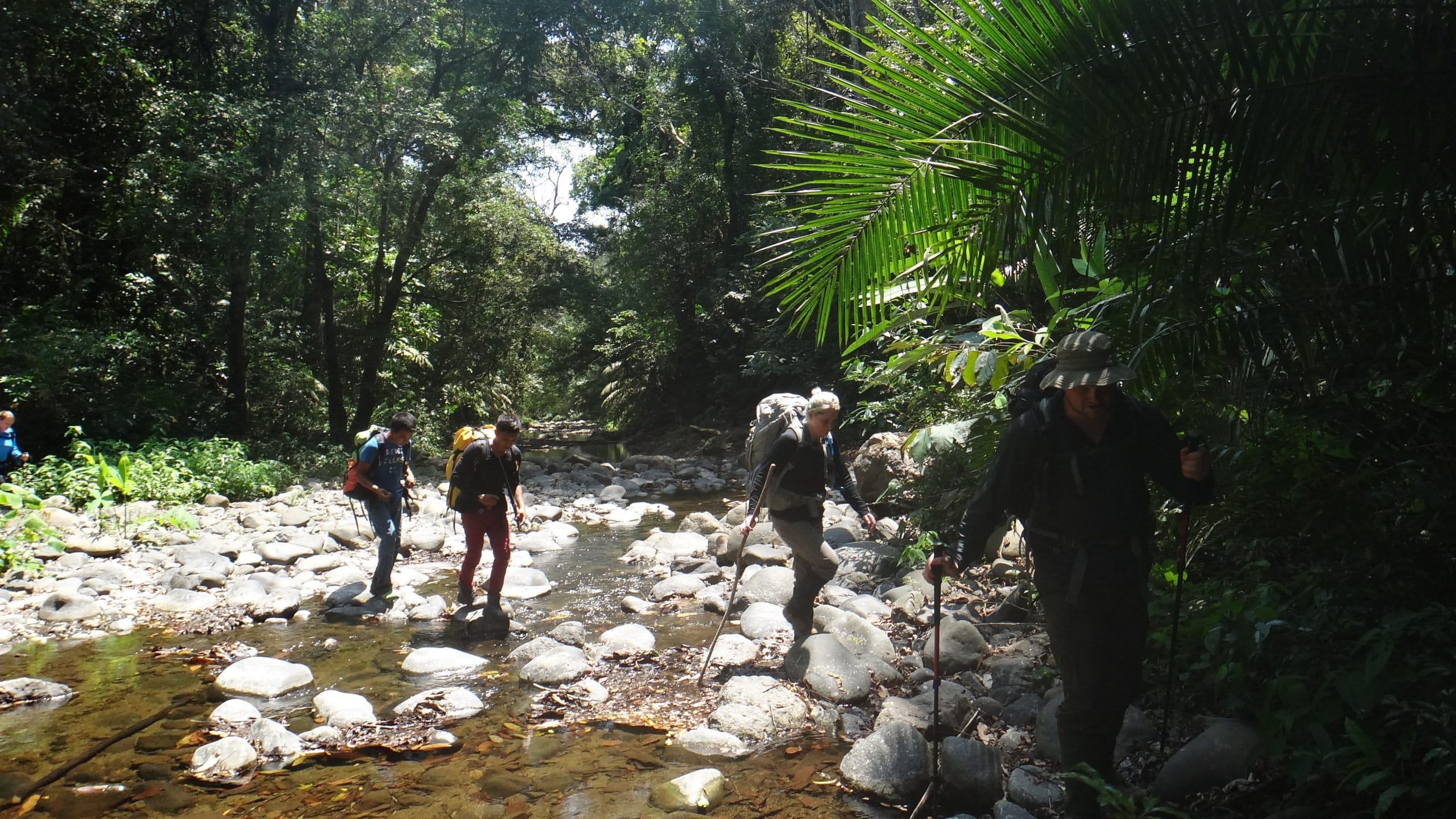 THE ESSENTIAL GUIDE TO JUNGLE FOOT CARE - Secret Compass