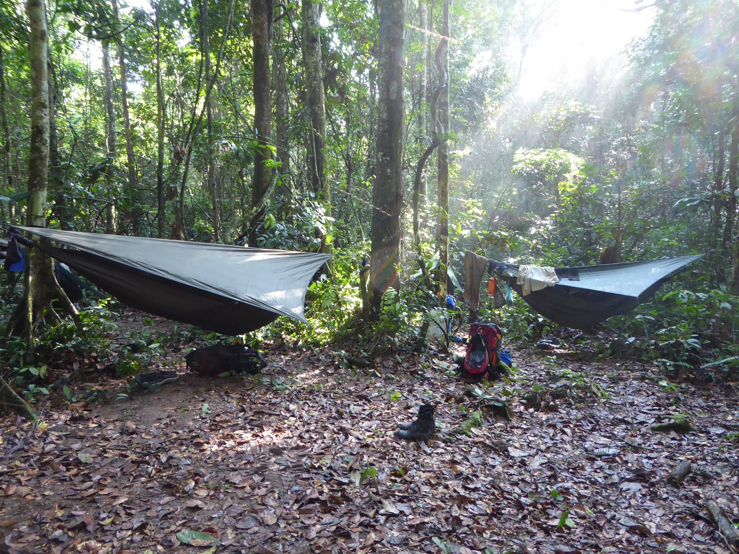 THE ESSENTIAL GUIDE TO JUNGLE FOOT CARE - Secret Compass